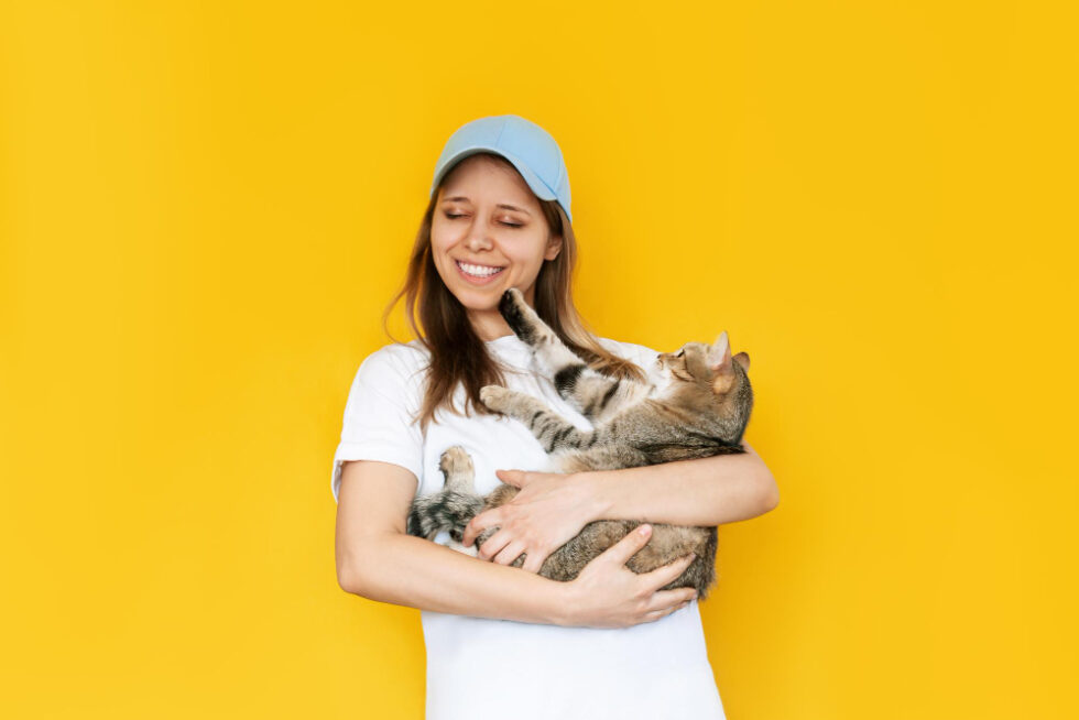 Step-by-step guide to picking up a cat safely | Top Cat Guide