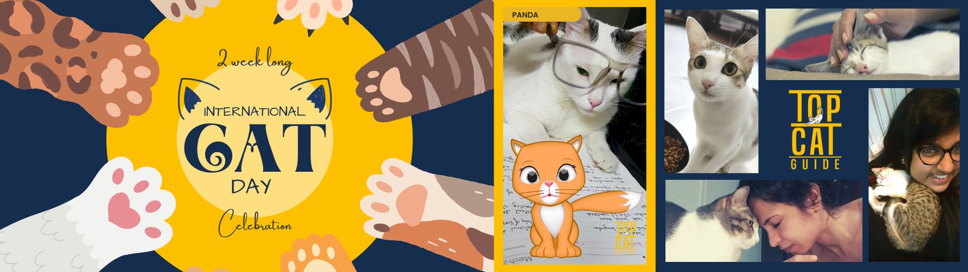 2 week long International Cat Day Celebration (8 August 2022 - 14 ...